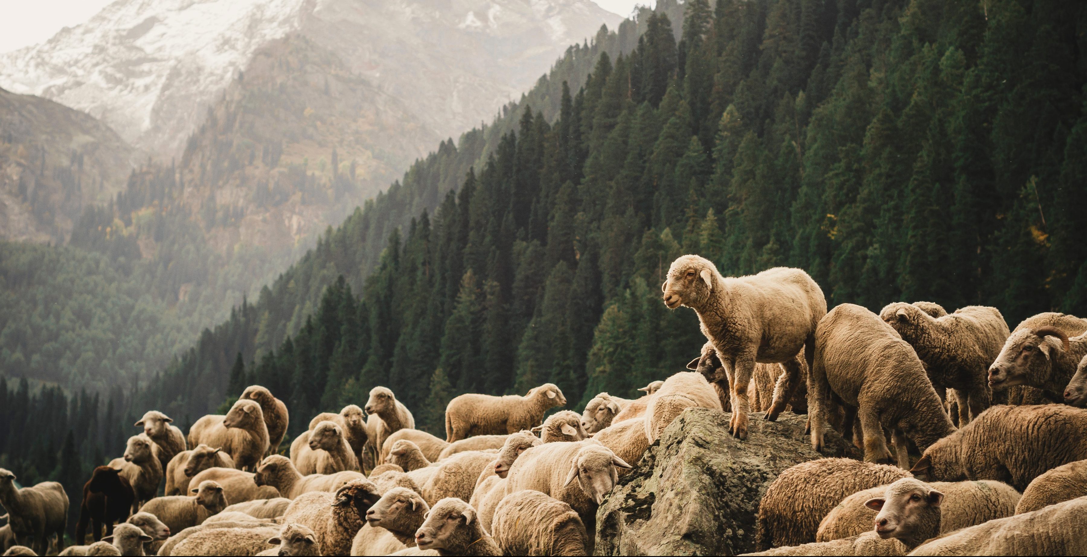 3 Things Your Organization Can Do To Thrive During The Great Migration ...